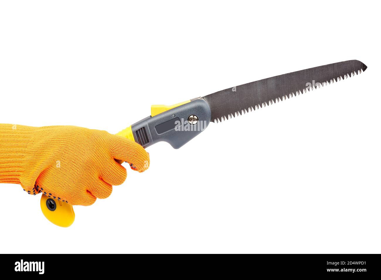 Folding garden saw in hand with glove isolated on white background ...