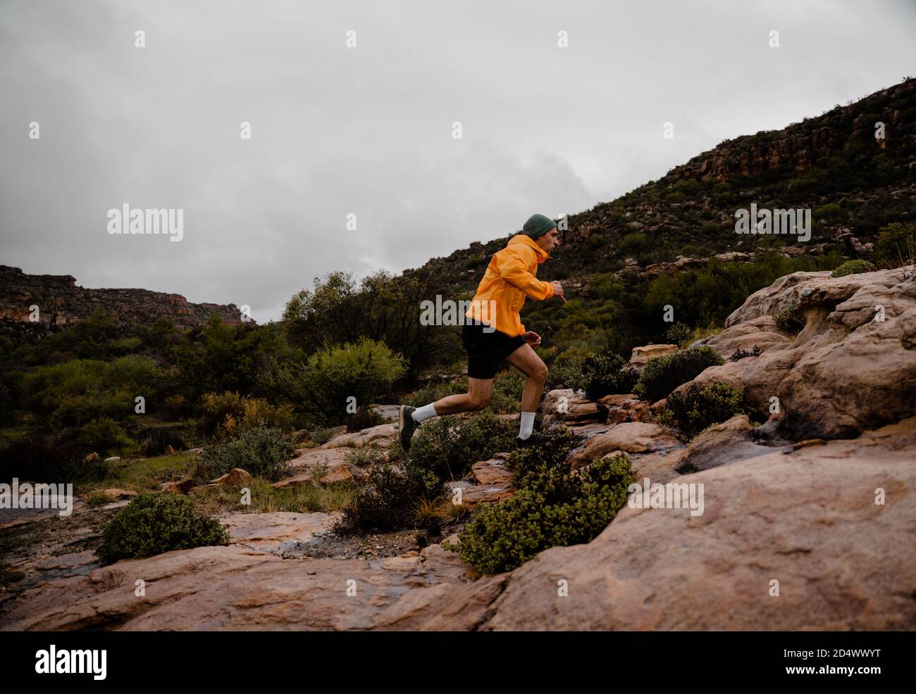 Strong male trail runner sprinting up wet mountain rocks with green ...