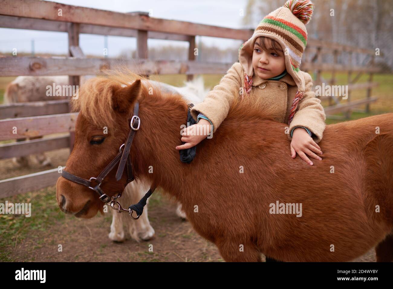 Child on horse hi-res stock photography and images - Alamy