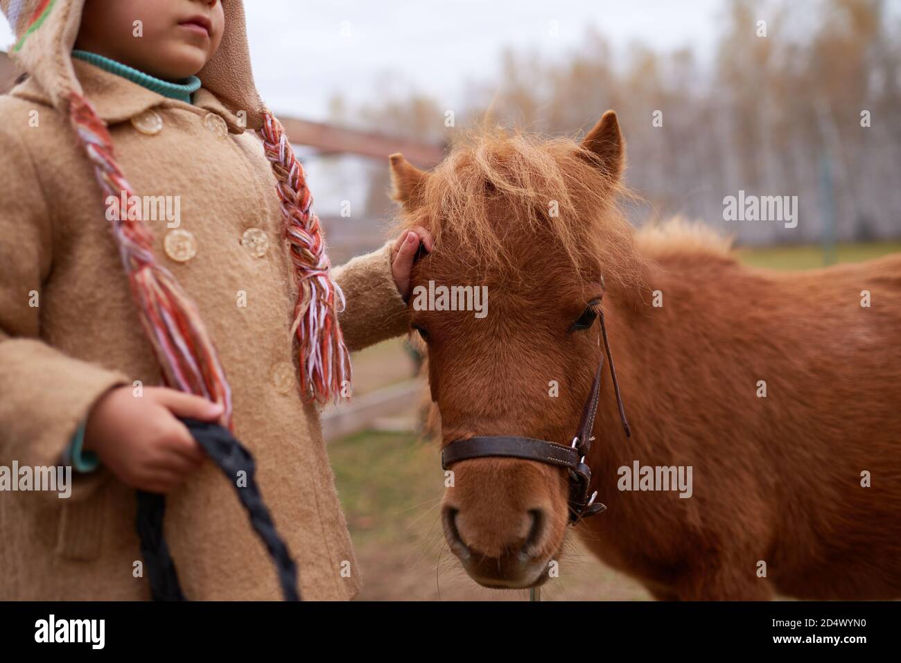 Cute child pony hi-res stock photography and images - Alamy