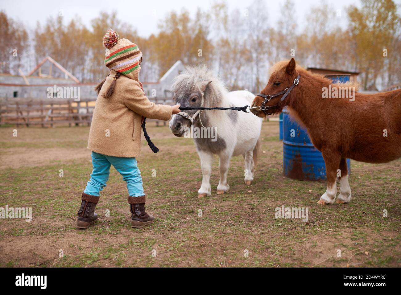 Girl With Ponies On Horse Farm Stock Photo - Alamy