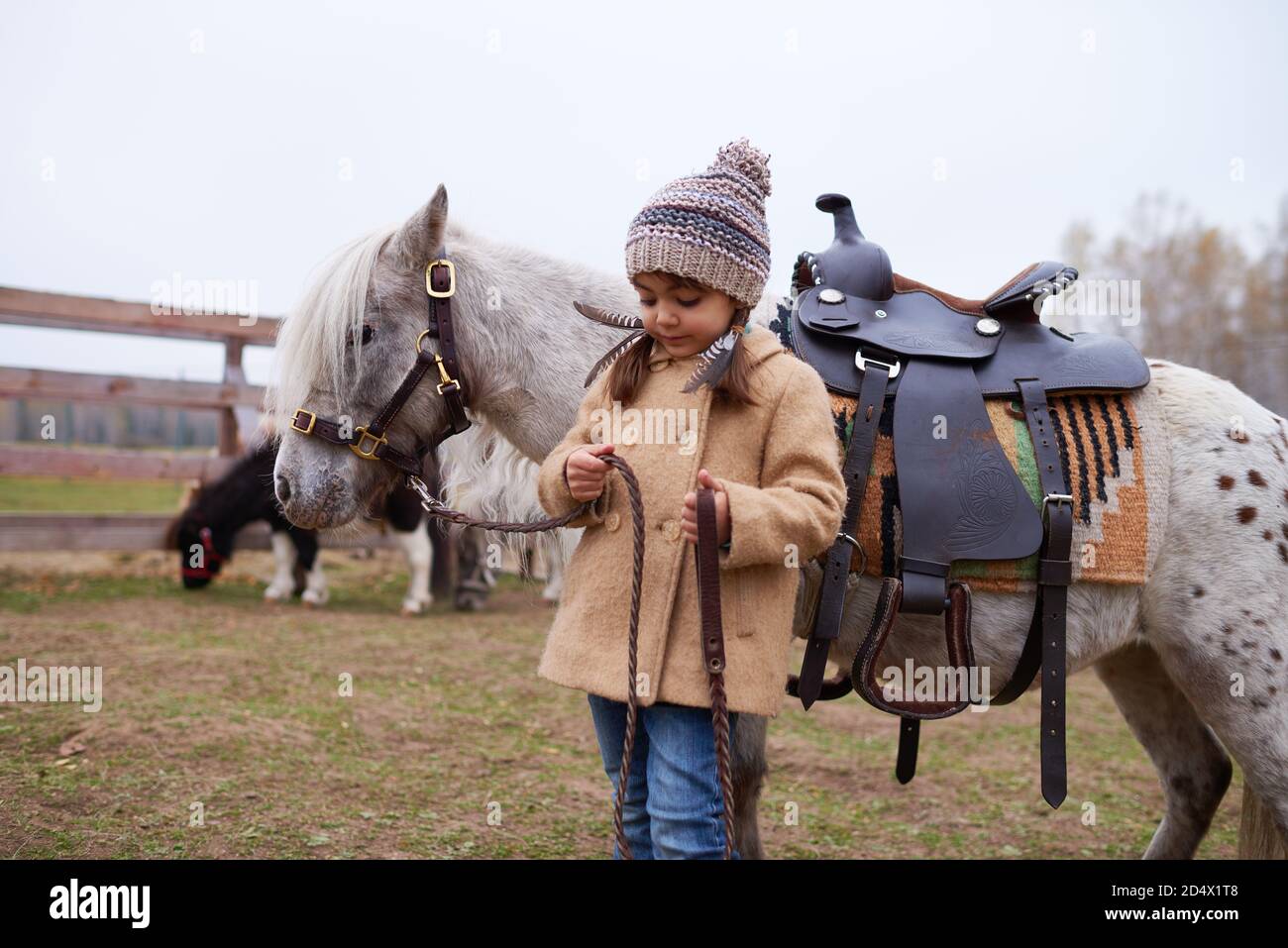 Cute child pony hi-res stock photography and images - Alamy