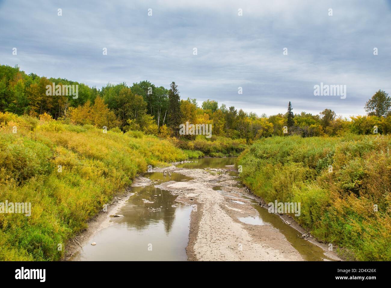 Stream beginning dry up hi-res stock photography and images - Alamy