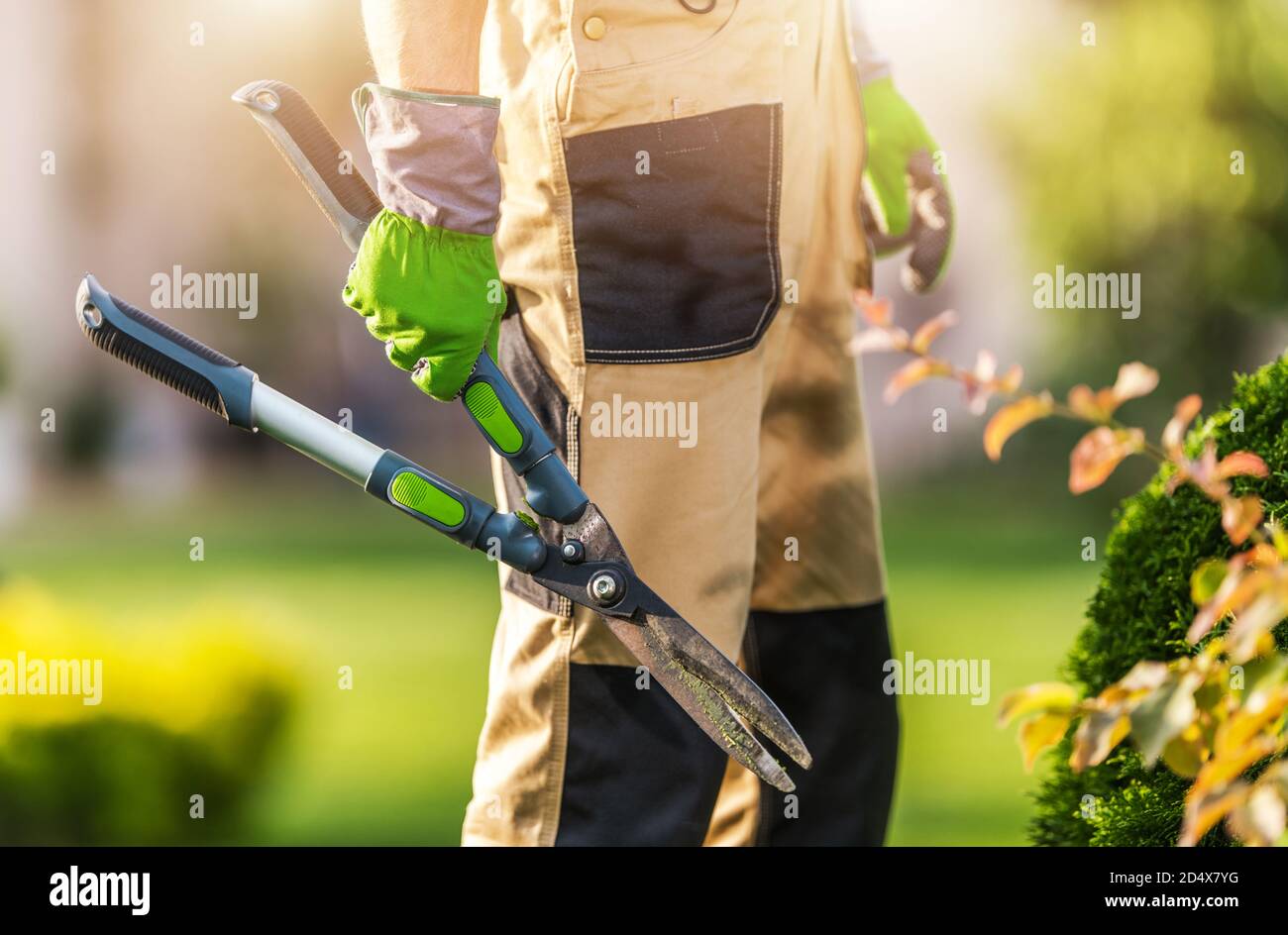 Landscaping Maintenance Theme. Caucasian Gardener with Heavy Duty ...