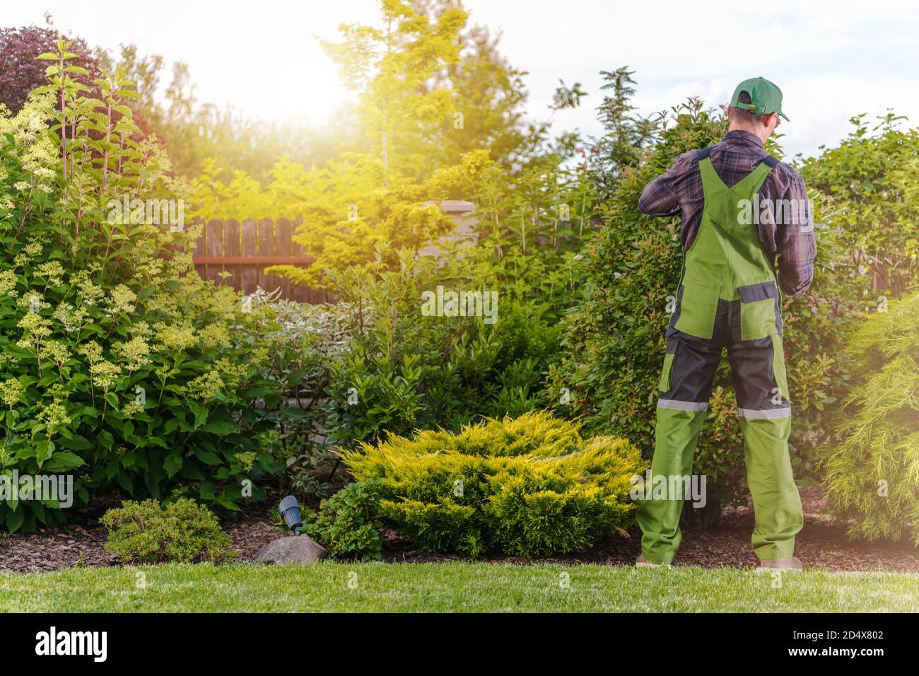 Residential Garden Maintenance Performed by Professional Caucasian ...