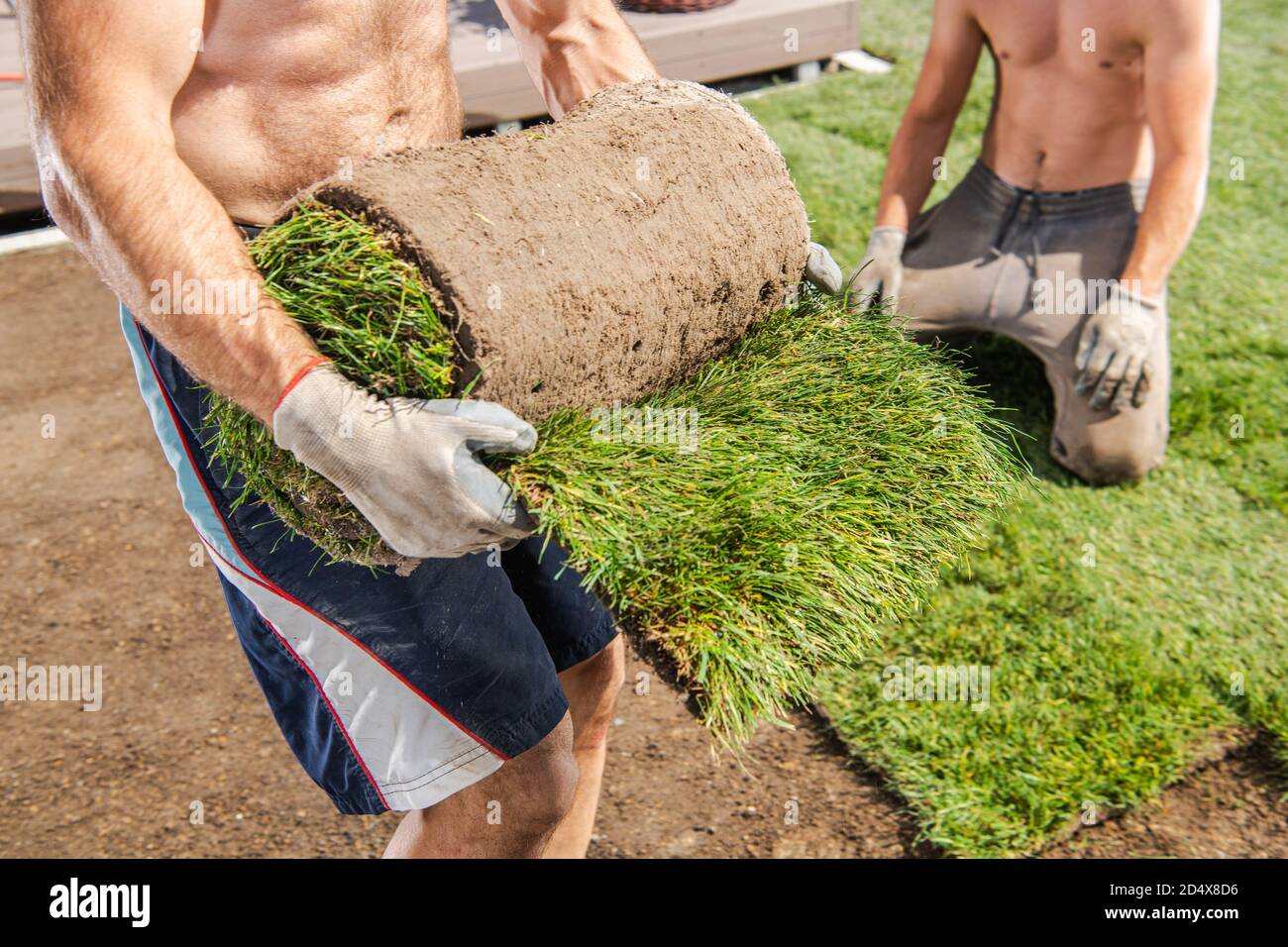Installing grass hi-res stock photography and images - Alamy