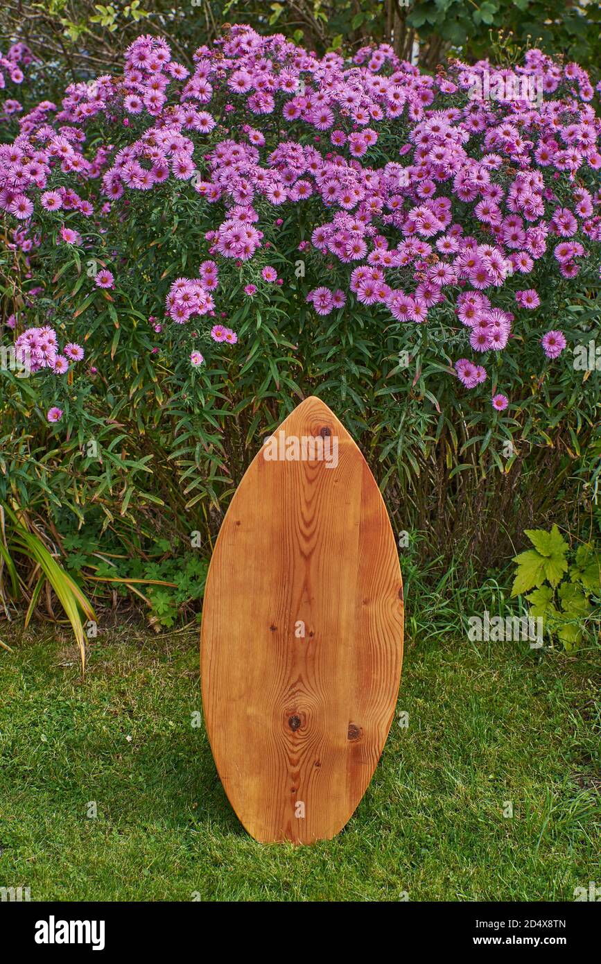 Homemade balance board in the garden. Diy wooden balance board standing ...