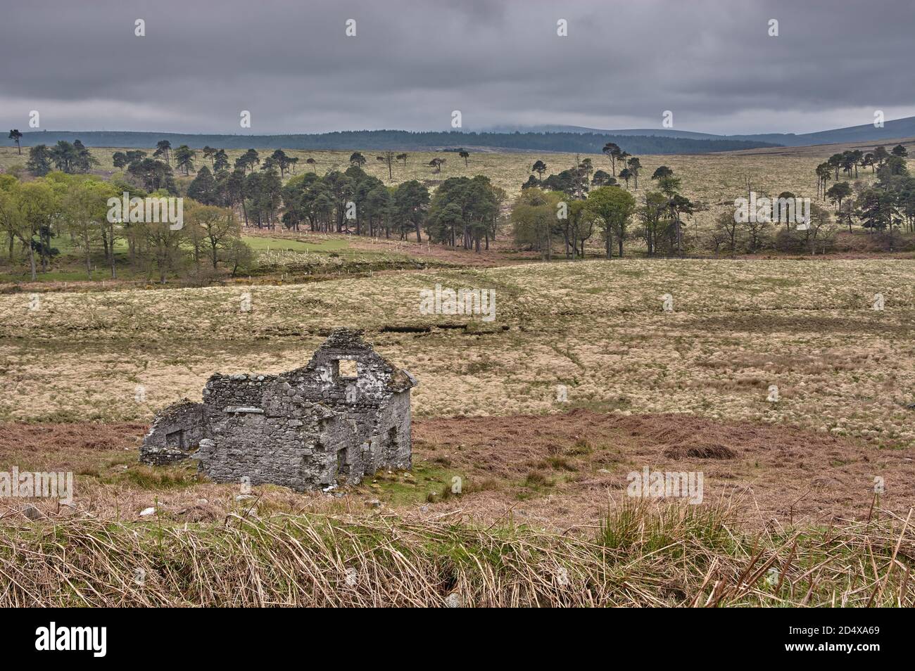 Abandoned castle ruins in Ireland. Mystical Irish landscape with house ...