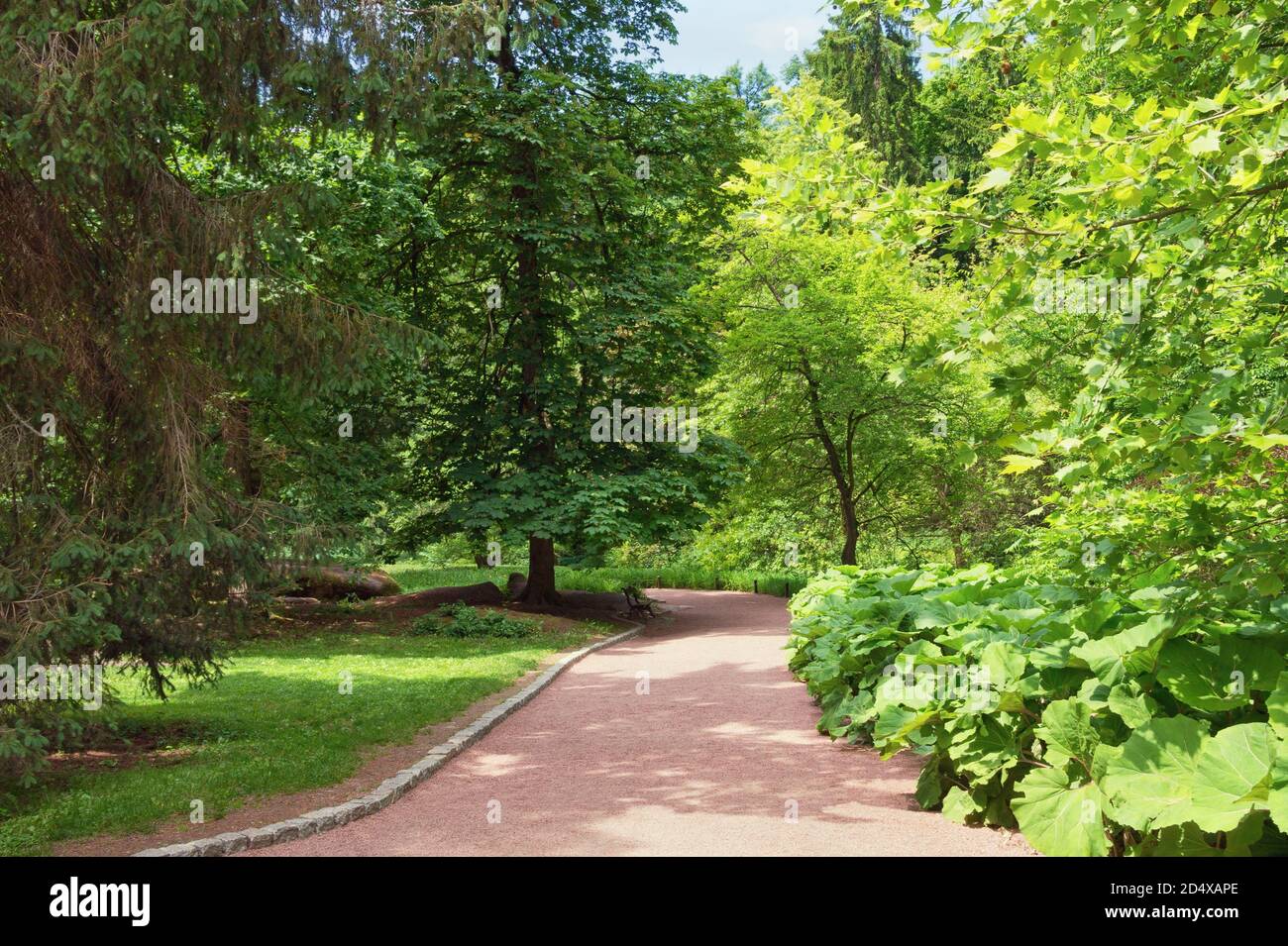 Park alley. View of Sofiyivsky Park (botanical garden) in Uman city ...