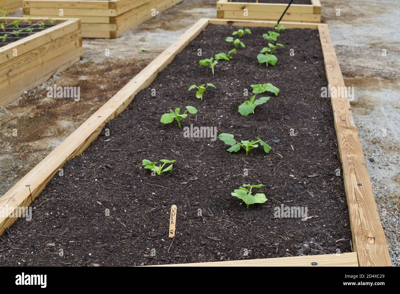 Urban Gardens as a 19th Century English Village with Soil Plots Set ...