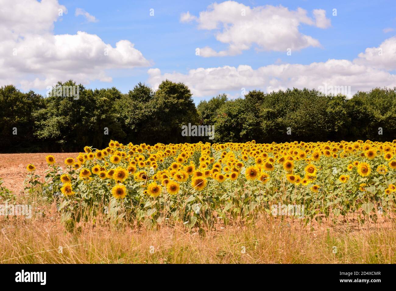 European natural countryside Stock Photo - Alamy