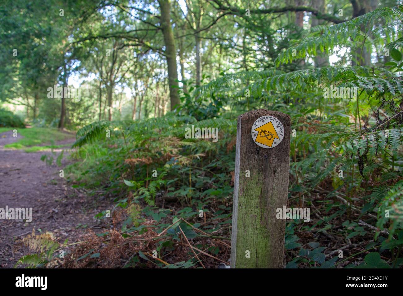 Highgate Common High Resolution Stock Photography and Images - Alamy