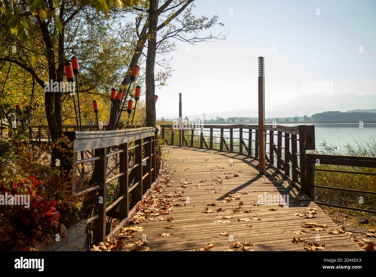 Romantic wooden walkway in trees by the lake Stock Photo - Alamy