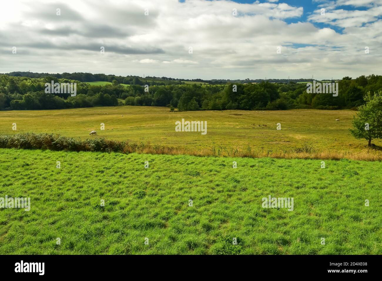 This is the location where Battle of Hastings happened on 14 October ...