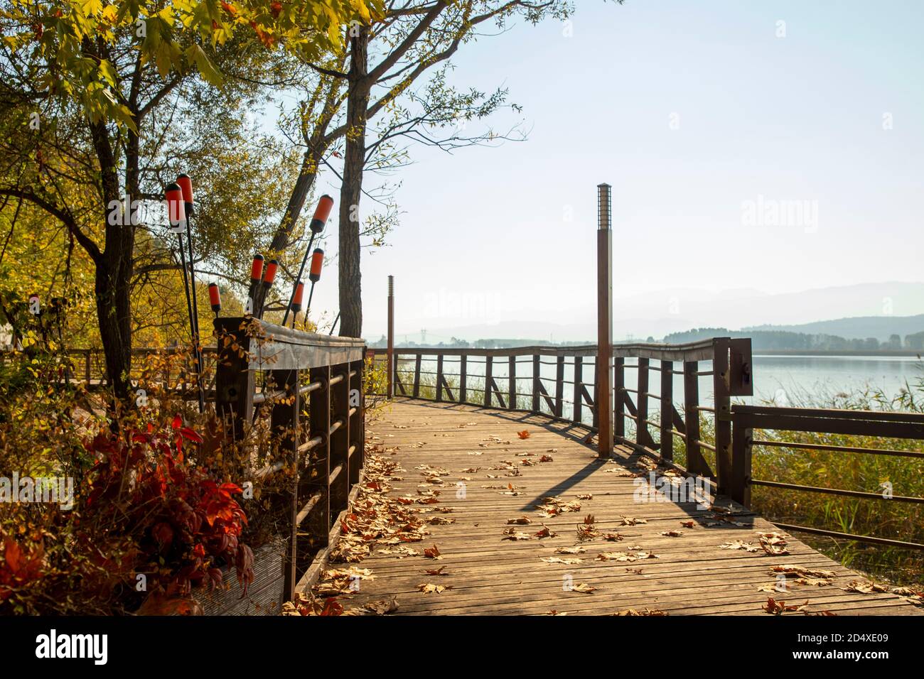 Romantic wooden walkway in trees by the lake Stock Photo - Alamy
