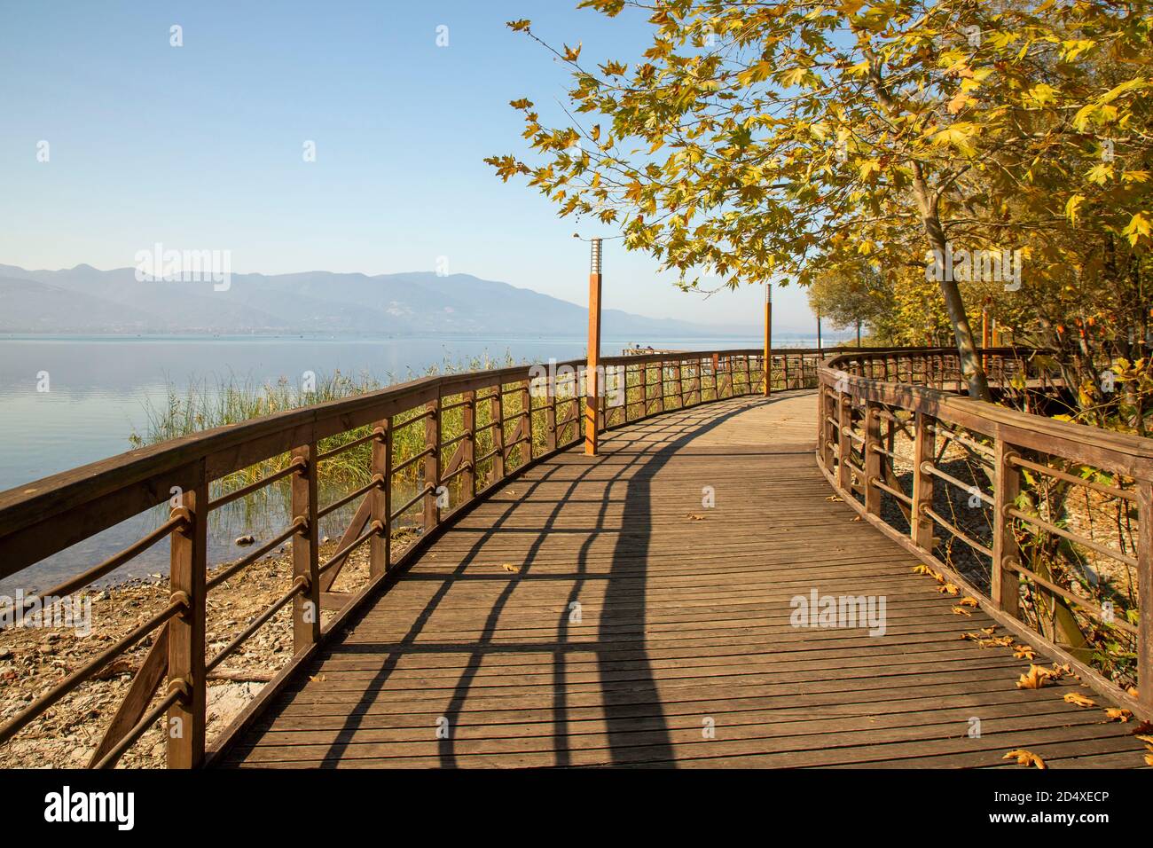 Romantic wooden walkway in trees by the lake Stock Photo - Alamy