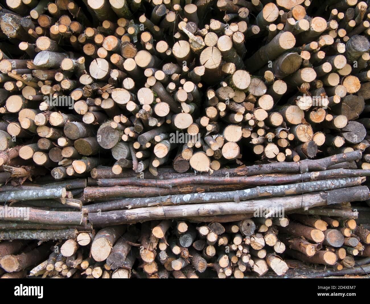 Close-up view of bound, round, narrow and stacked firewood with bark ...