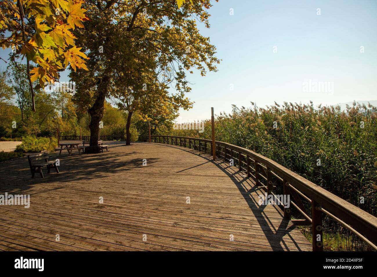 Romantic wooden walkway in trees by the lake Stock Photo - Alamy