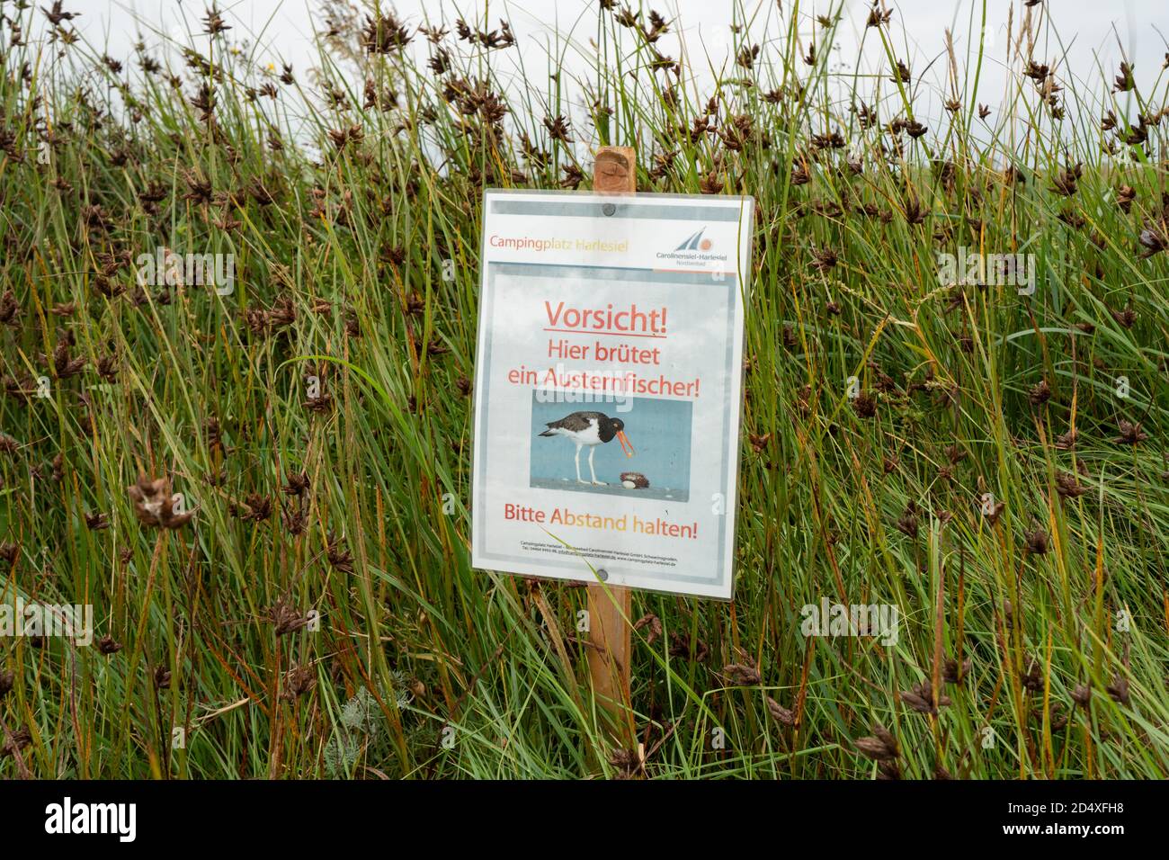 Conservation information poster hi-res stock photography and images - Alamy