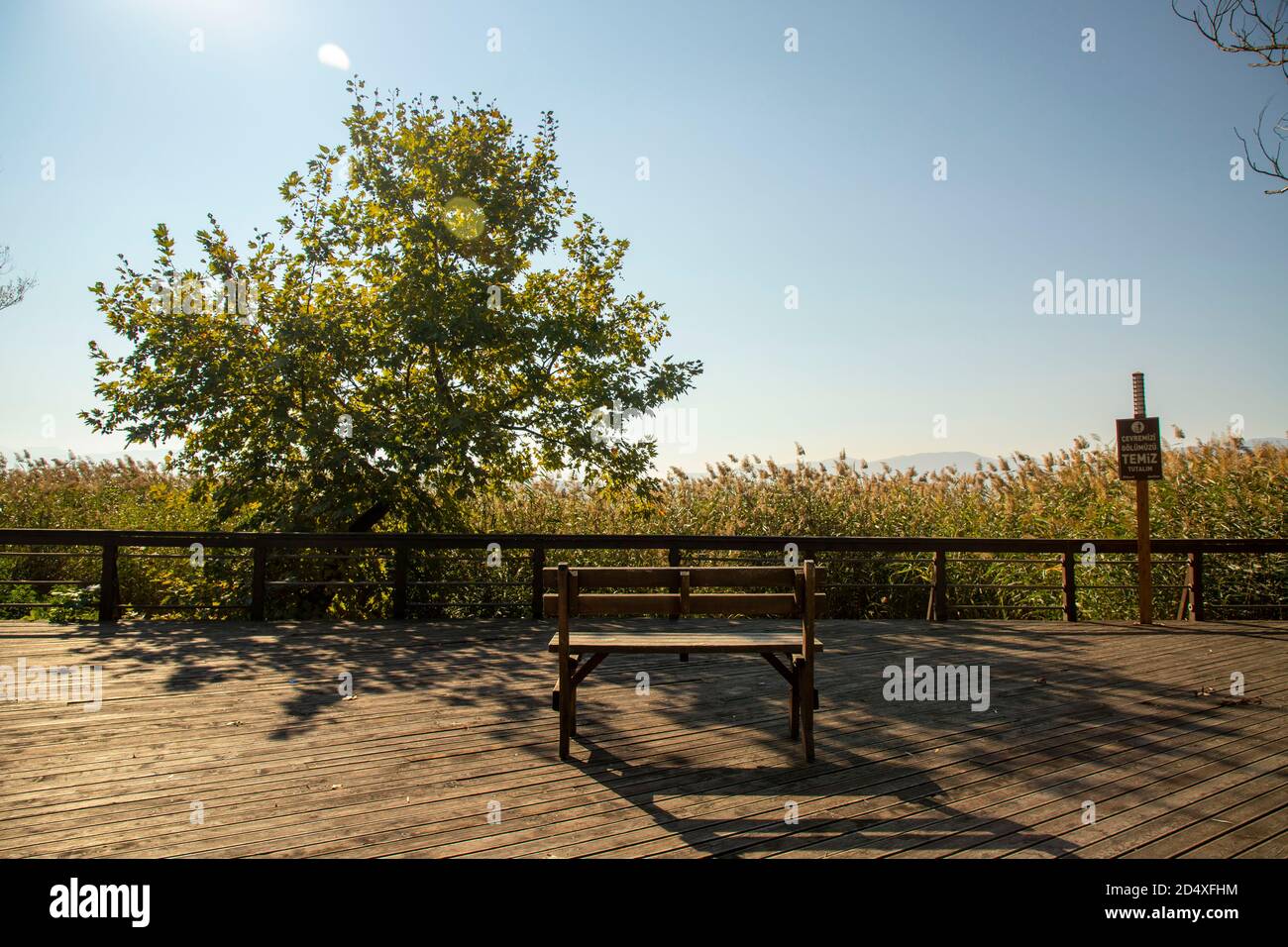 Romantic wooden walkway in trees by the lake Stock Photo - Alamy
