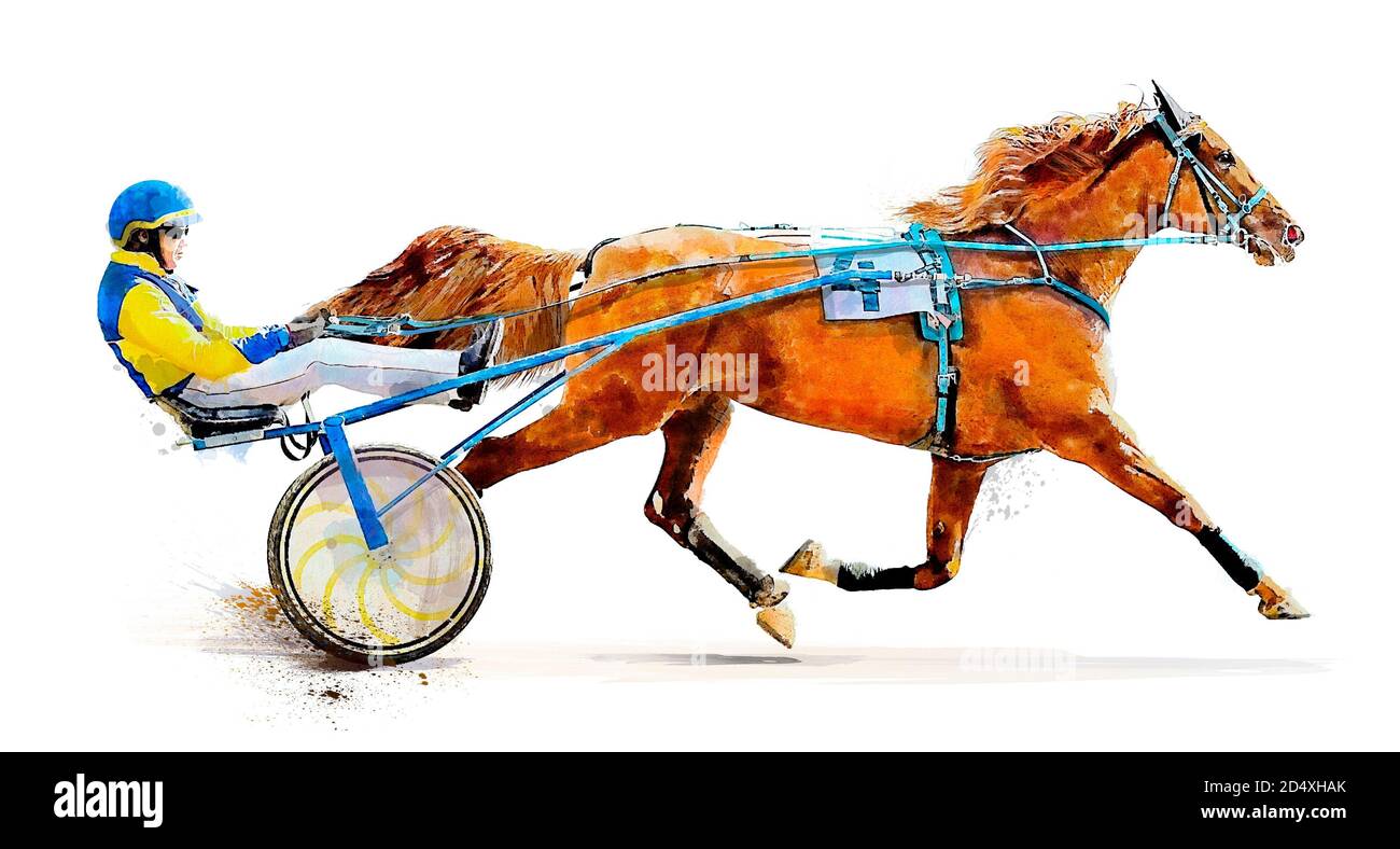 Horse. Equestrian sport. Trotter race. Jockey. Harness racing ...