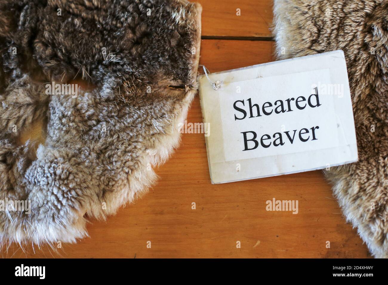 Pelts hi-res stock photography and images - Alamy