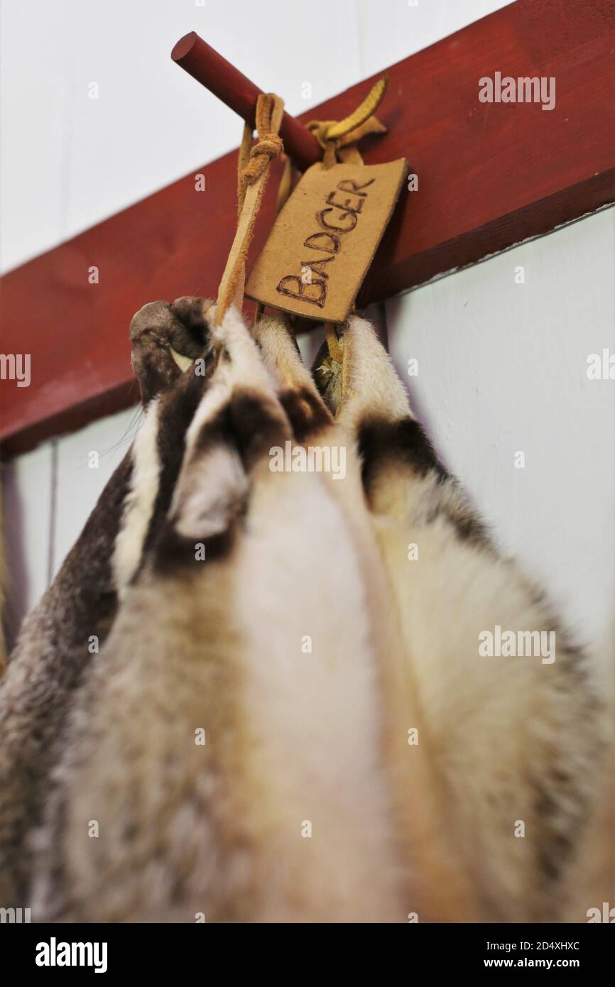 Animal furs hi-res stock photography and images - Alamy