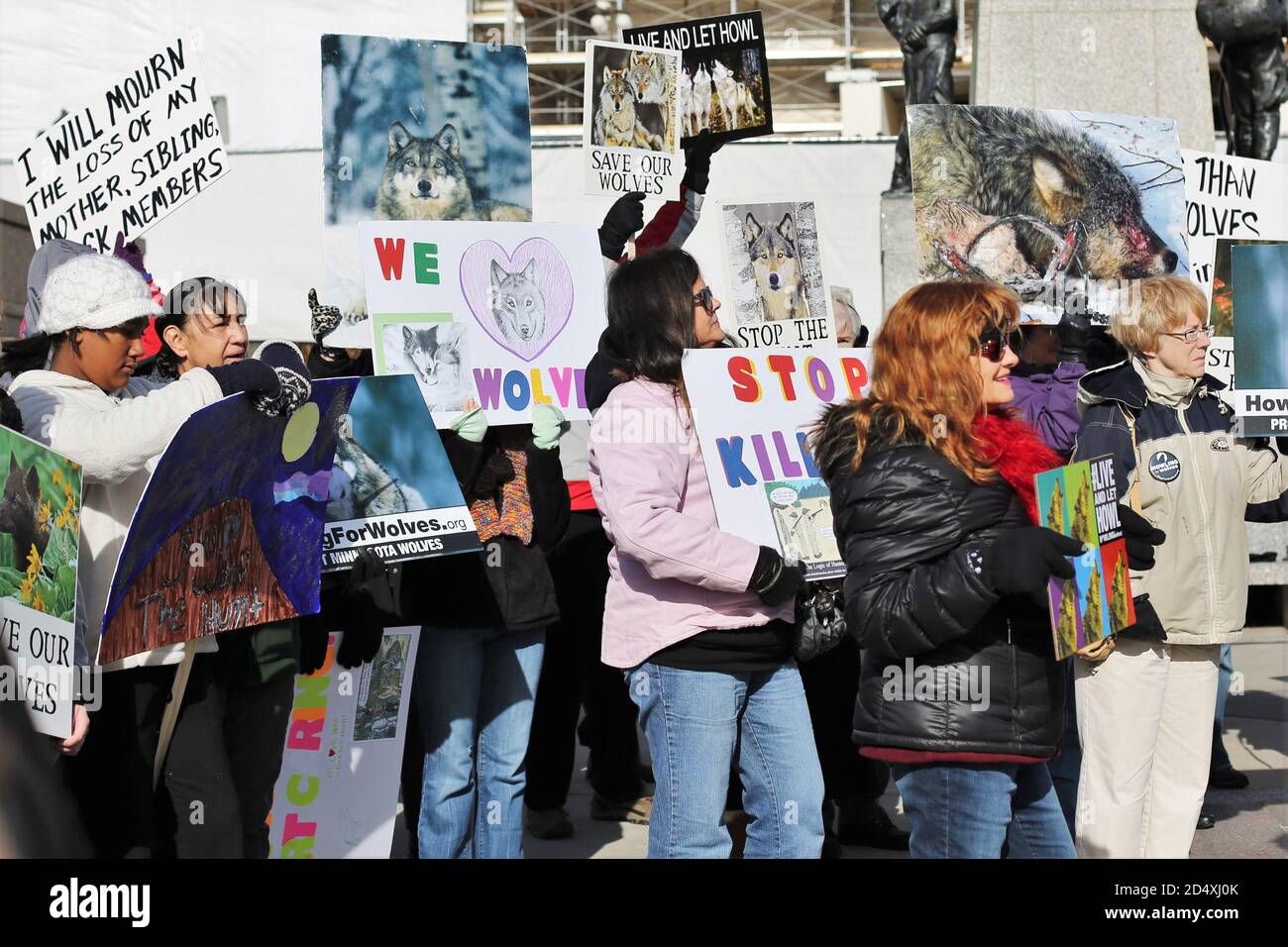 A crowd protesting the killing of wolves in Minnesota, at the state ...