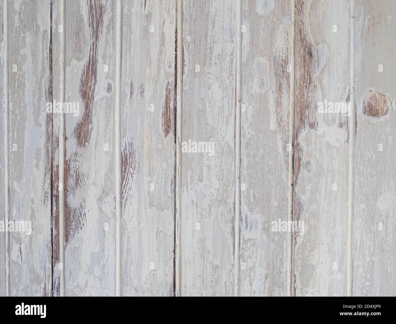 White Wood Backdrop Rustic Old Weathered Peeled Vintage Retro White ...