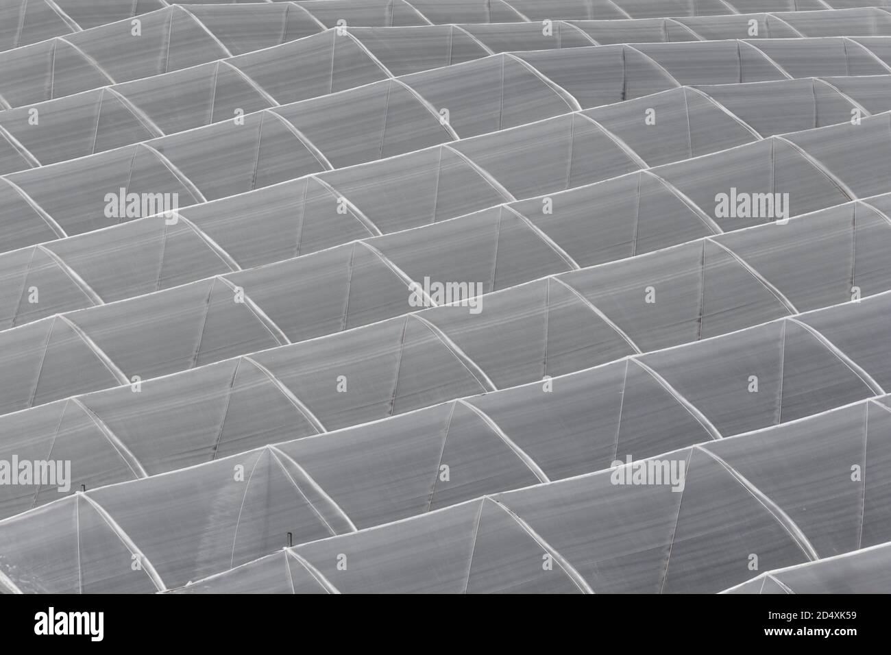 white plastic background with rows of rectangles, geometric figures ...