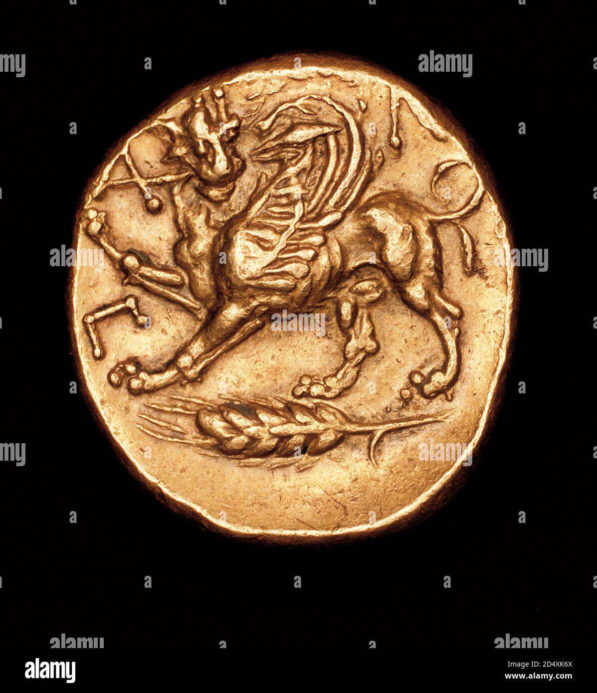 Rare Ancient Greek Coin, Gold Masterpiece, reverse, Griphon on an ear ...