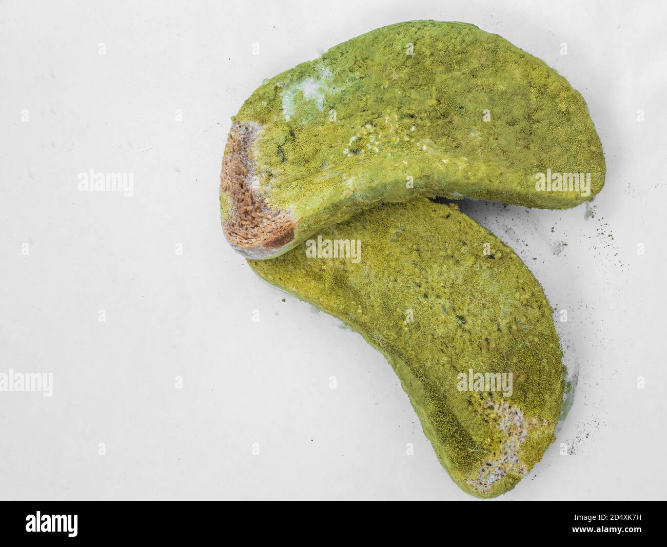 A piece of bread covered with green mold on a white background isolate ...