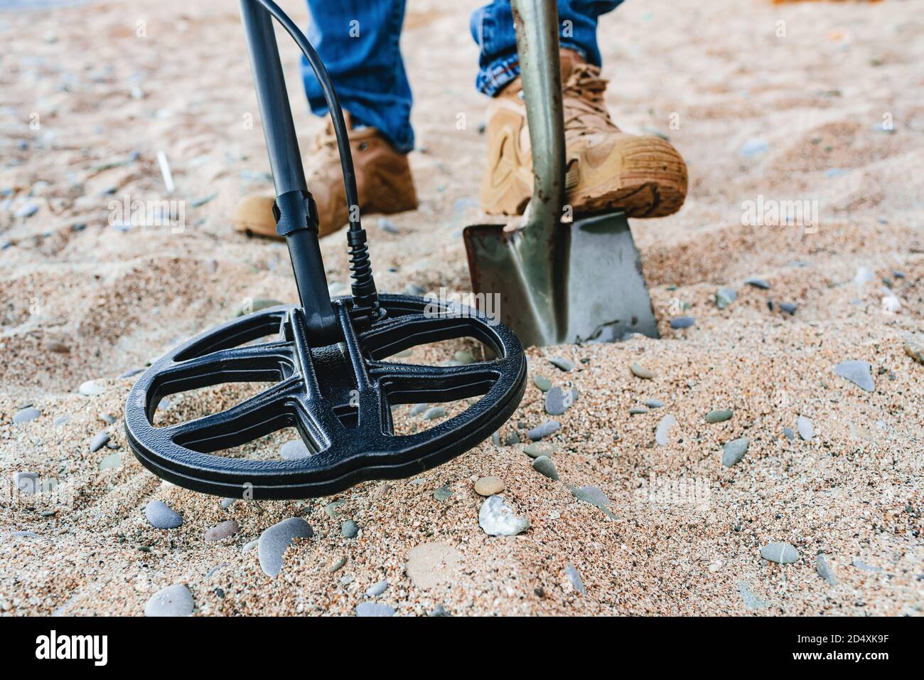 Metal detector coil in action above the ground Stock Photo - Alamy