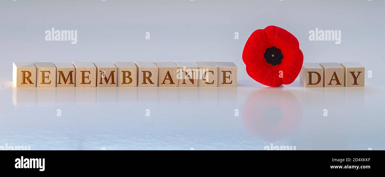 Remembrance Day, text on wood blocks with a poppy flower. Concept ...