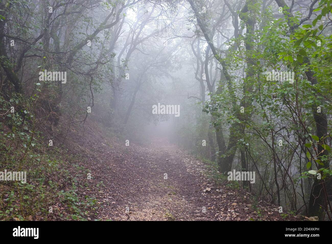 Pilgrims route hi-res stock photography and images - Alamy