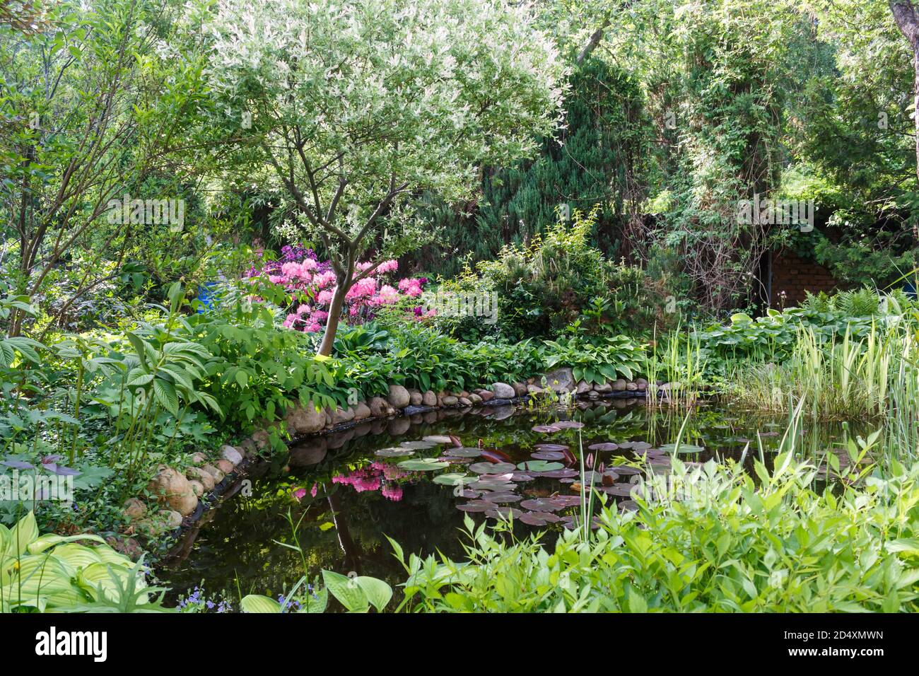 Decorative trees. shrubs and flowers in the garden with pond Beautiful ...