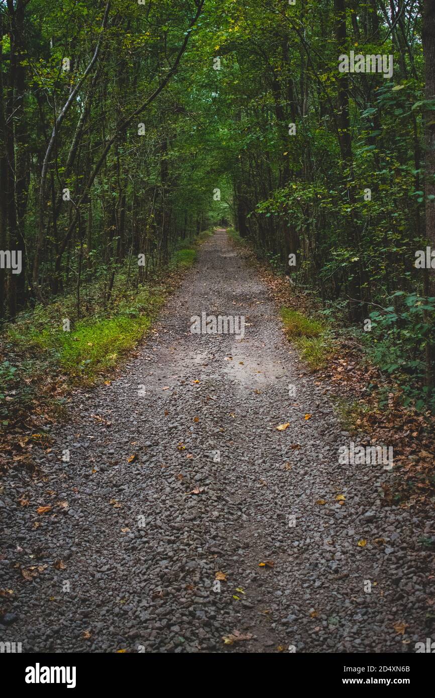 Trees lining pathway hi-res stock photography and images - Alamy