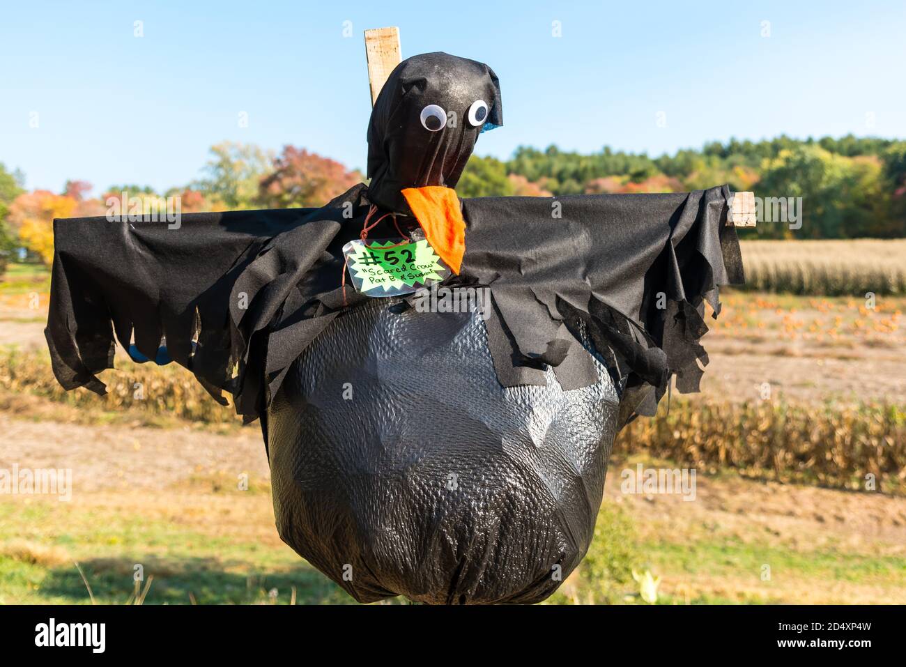Scared crow hi-res stock photography and images - Alamy