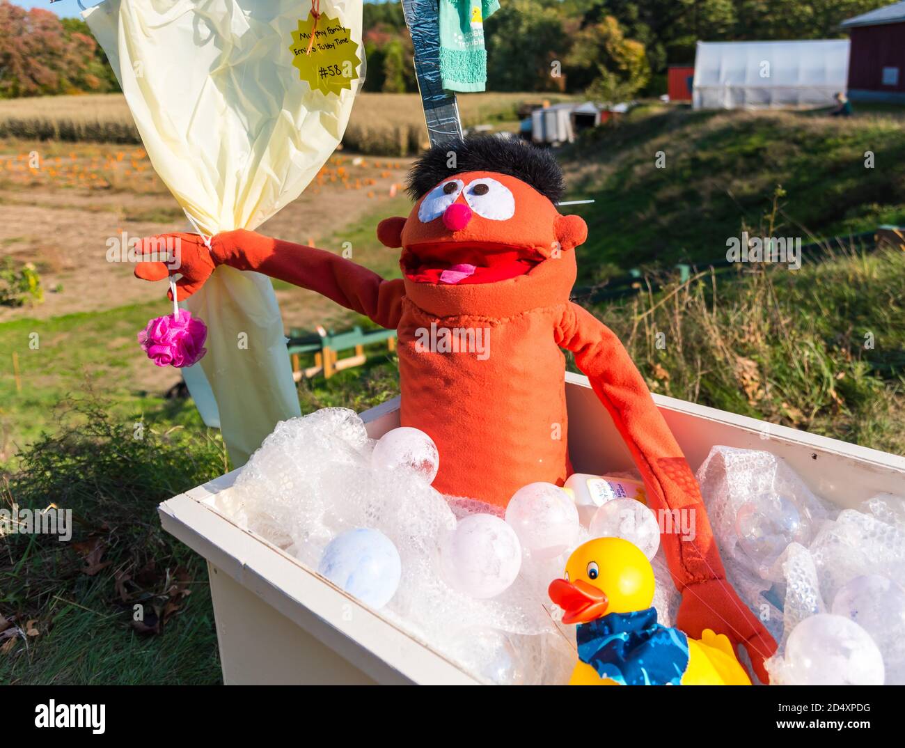 Ernie, character from Sesame Street, at Cucurbit Farm Scarecrow Contest ...