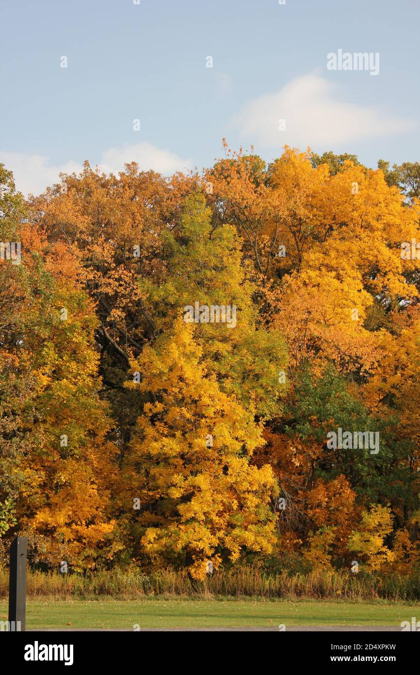 The beautiful fall colors showing themselves on an autumn day in the ...