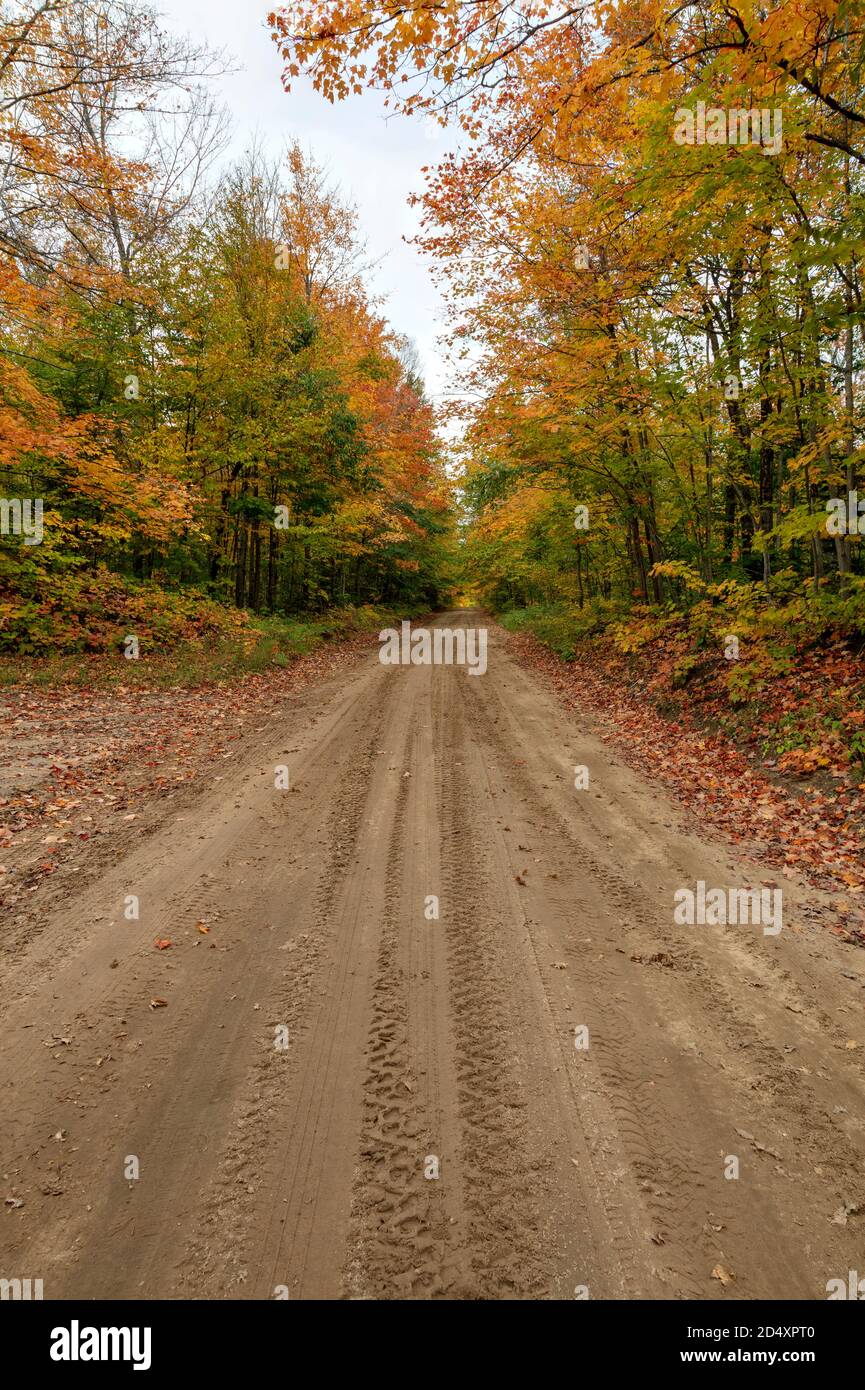 Country road, fall color, Northern Michigan, USA, by James D Coppinger ...