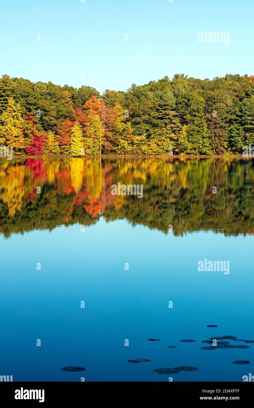 Hall Lake, Autumn, Yankee Springs Recreation Area, MI, USA, by James D ...