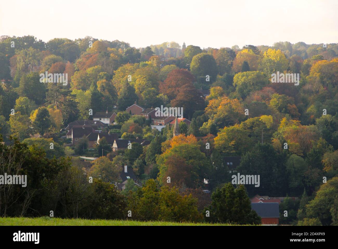 Landscape view across the valley between Riddlesdown common land and ...