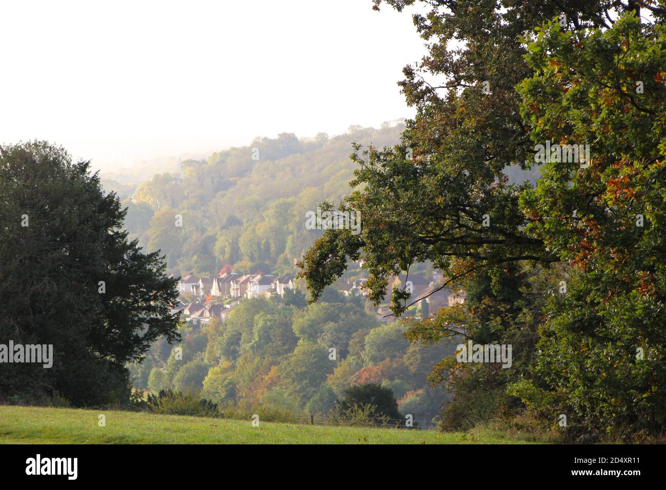 Riddlesdown common hi-res stock photography and images - Alamy