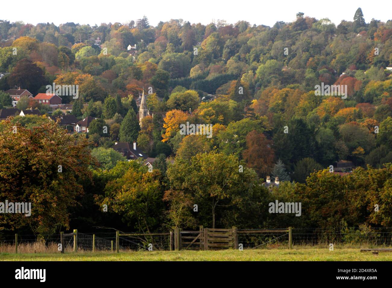 Landscape view across the valley between Riddlesdown common land and ...