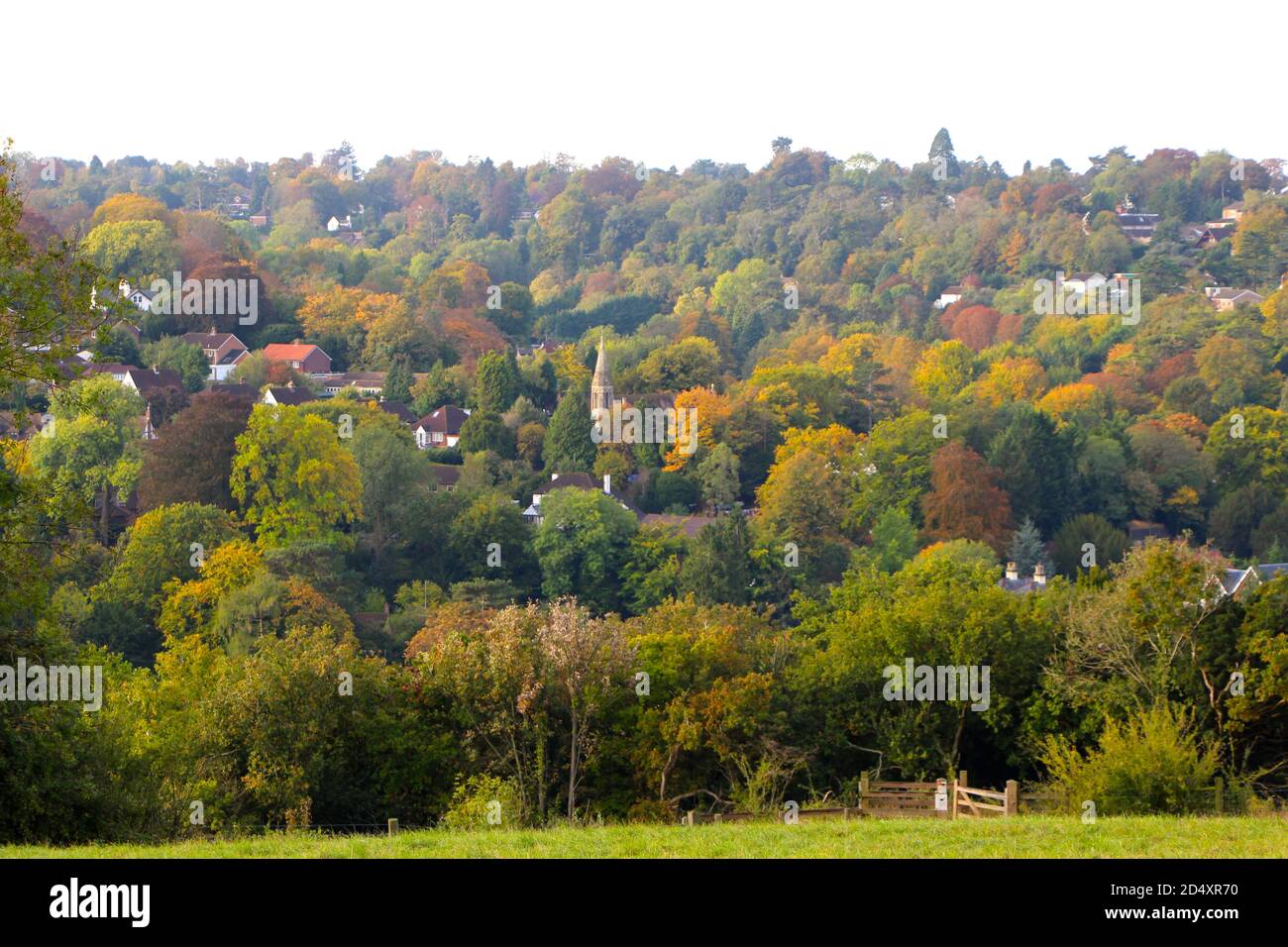 Landscape view across the valley between Riddlesdown common land and ...
