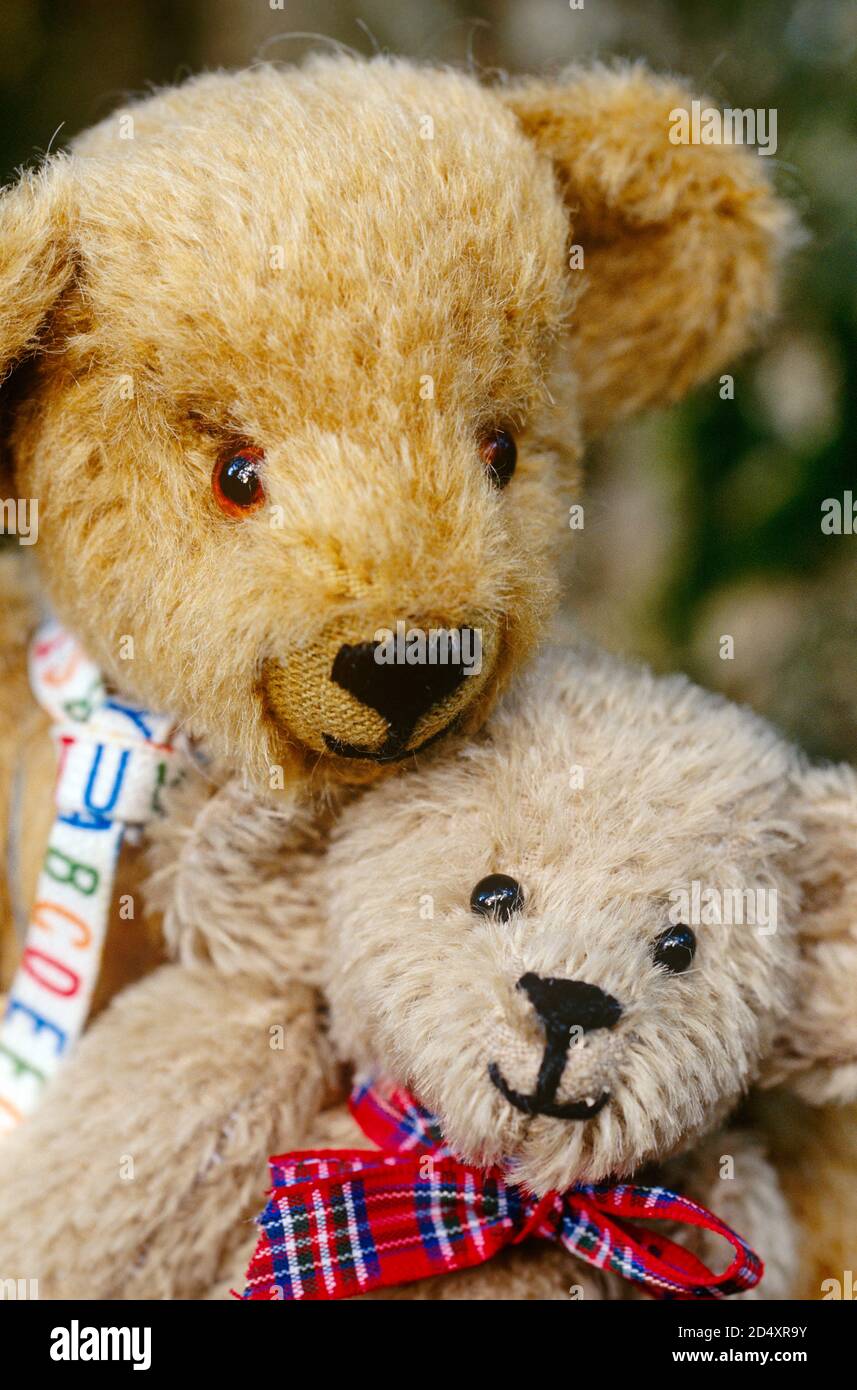 Humorous pose bear hi-res stock photography and images - Alamy