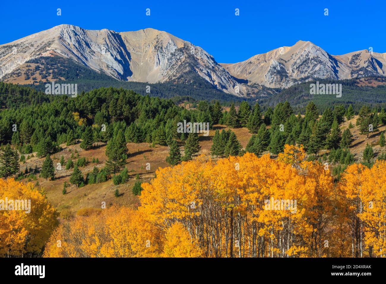 Mt d6145 hi-res stock photography and images - Alamy
