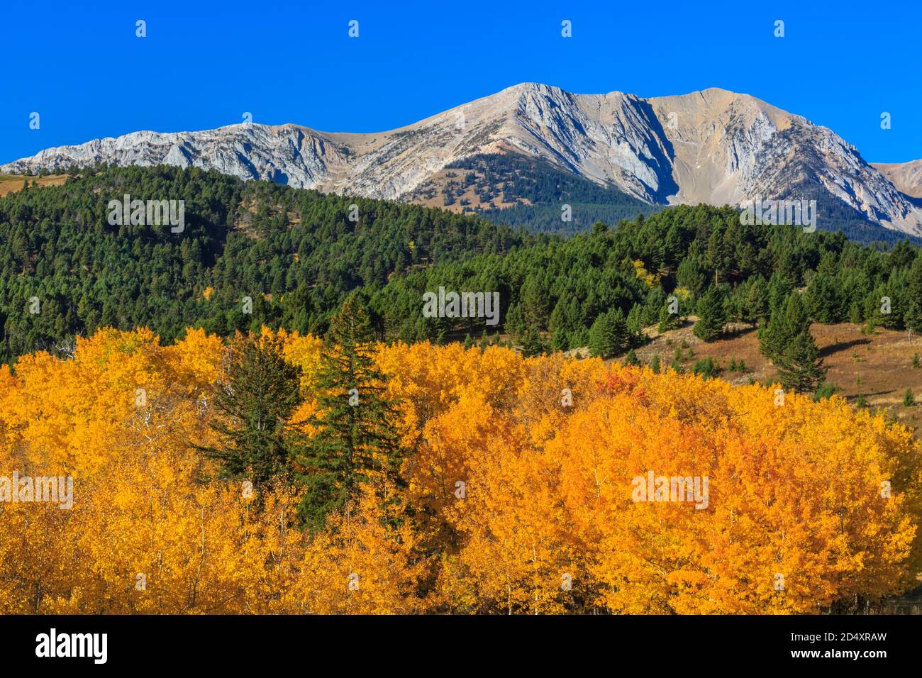 Mt d6150 hi-res stock photography and images - Alamy