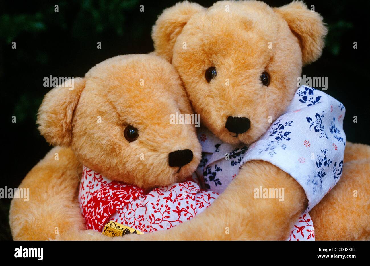 Humorous pose bear hi-res stock photography and images - Alamy